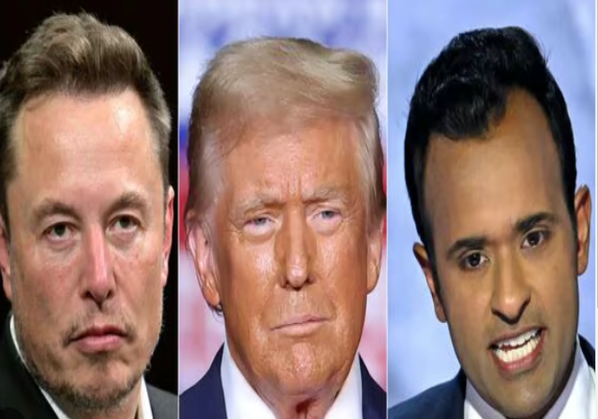 Trump Appoints Vivek Ramaswamy and Elon Musk to Lead New ‘Government ...