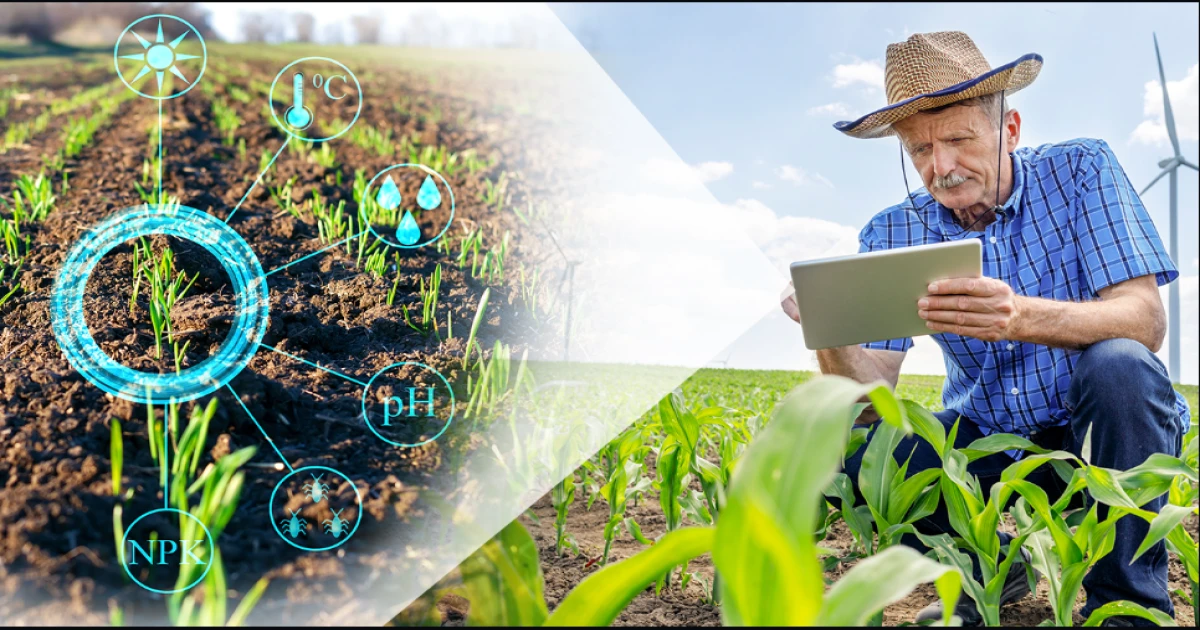 Explore the potential of artificial intelligence (AI) in addressing ...